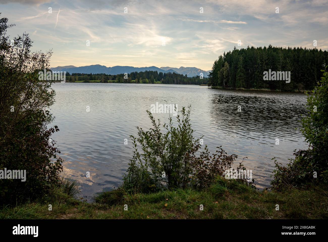 moor, swamp, lake, lakeside, mystic, landscape, nature, wallpaper Stock ...