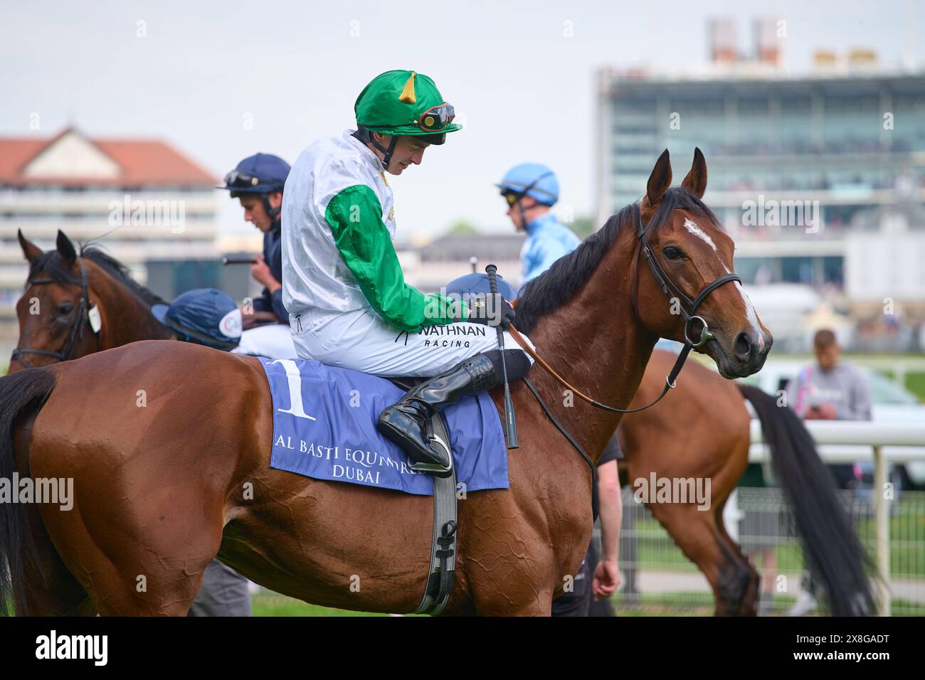 Al musmak horse hi-res stock photography and images - Alamy