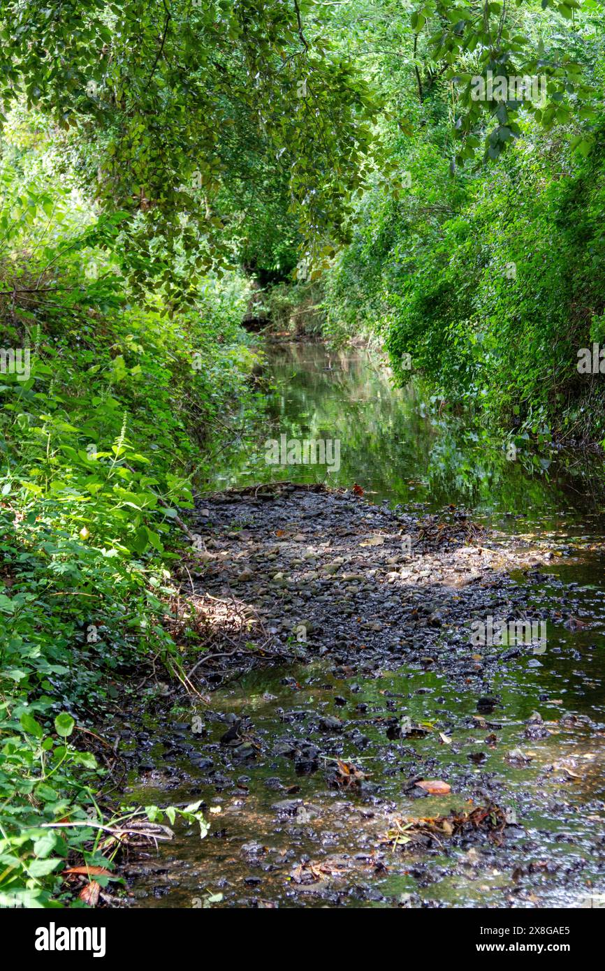 Unflowing hi-res stock photography and images - Alamy