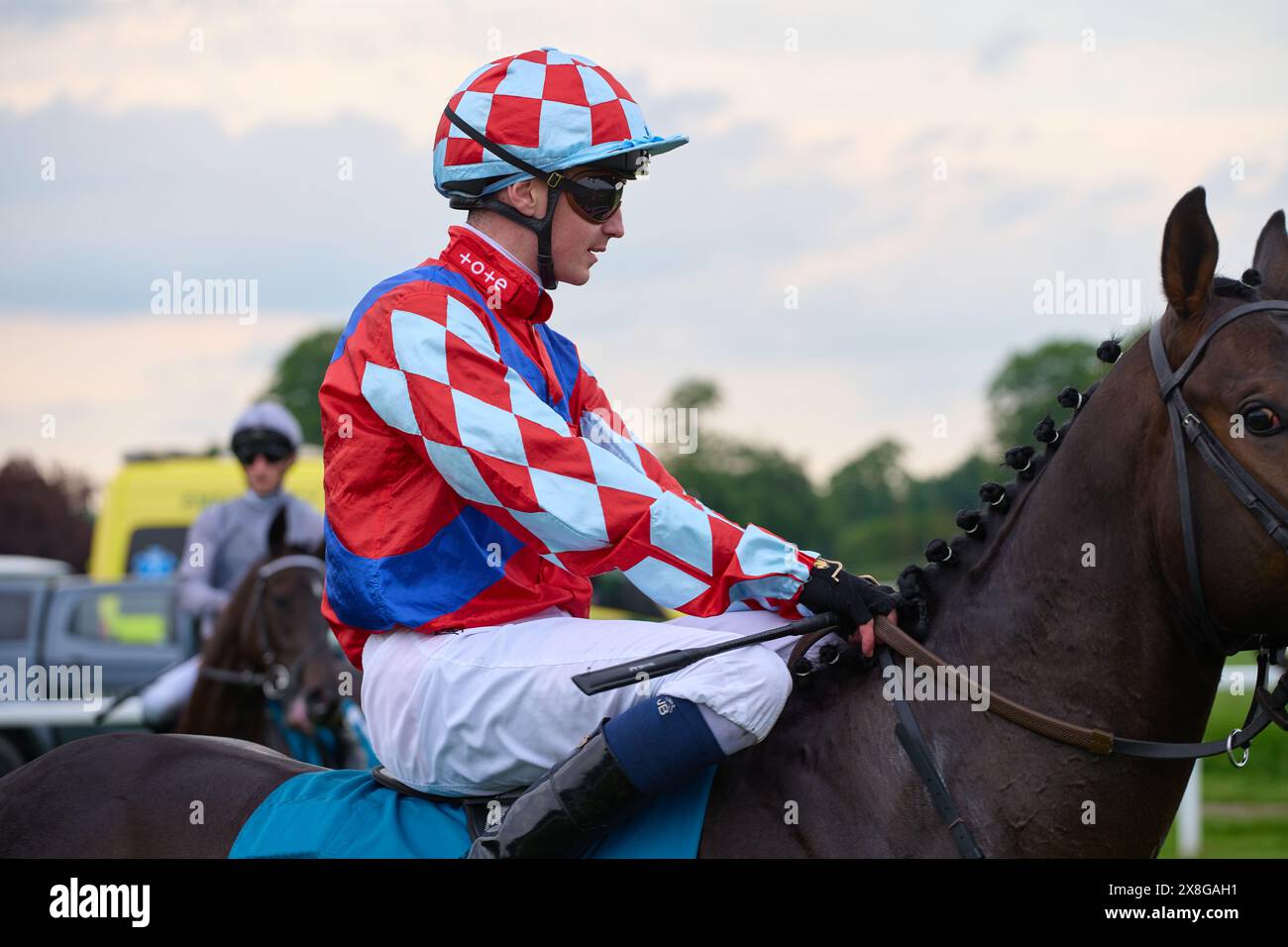 Loom horse hi-res stock photography and images - Alamy