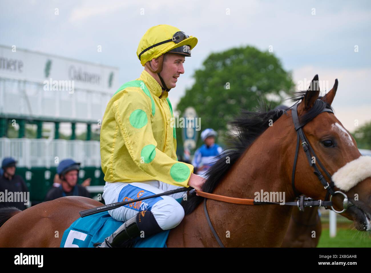 Jockey Shane Gray on Jorge Alvares at York Races Stock Photo - Alamy