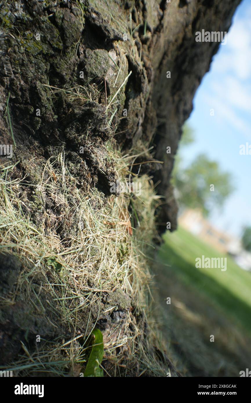 this is my first submission to Alamy and I've chosen these macro shots ...