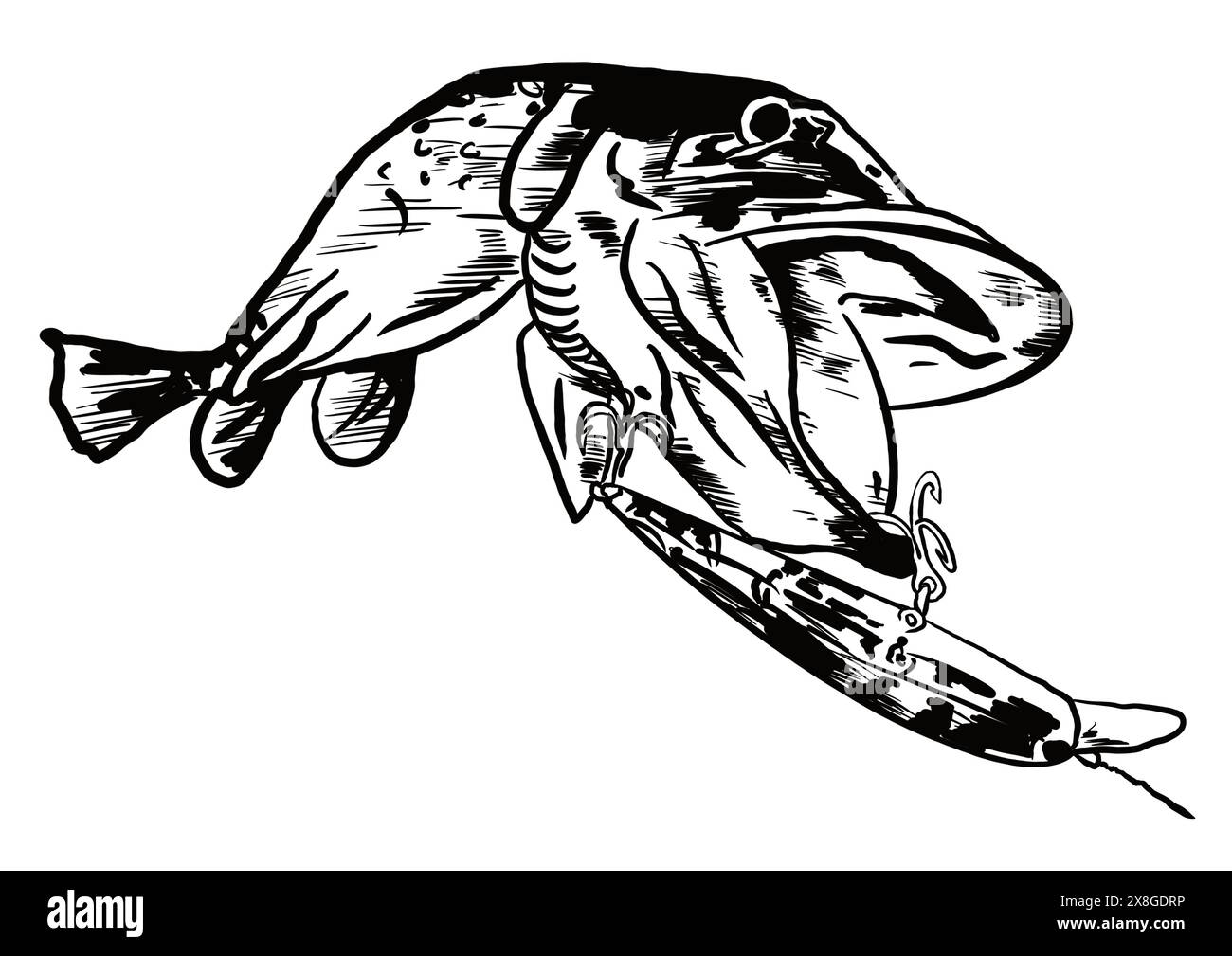 Eye of a pike hi-res stock photography and images - Alamy