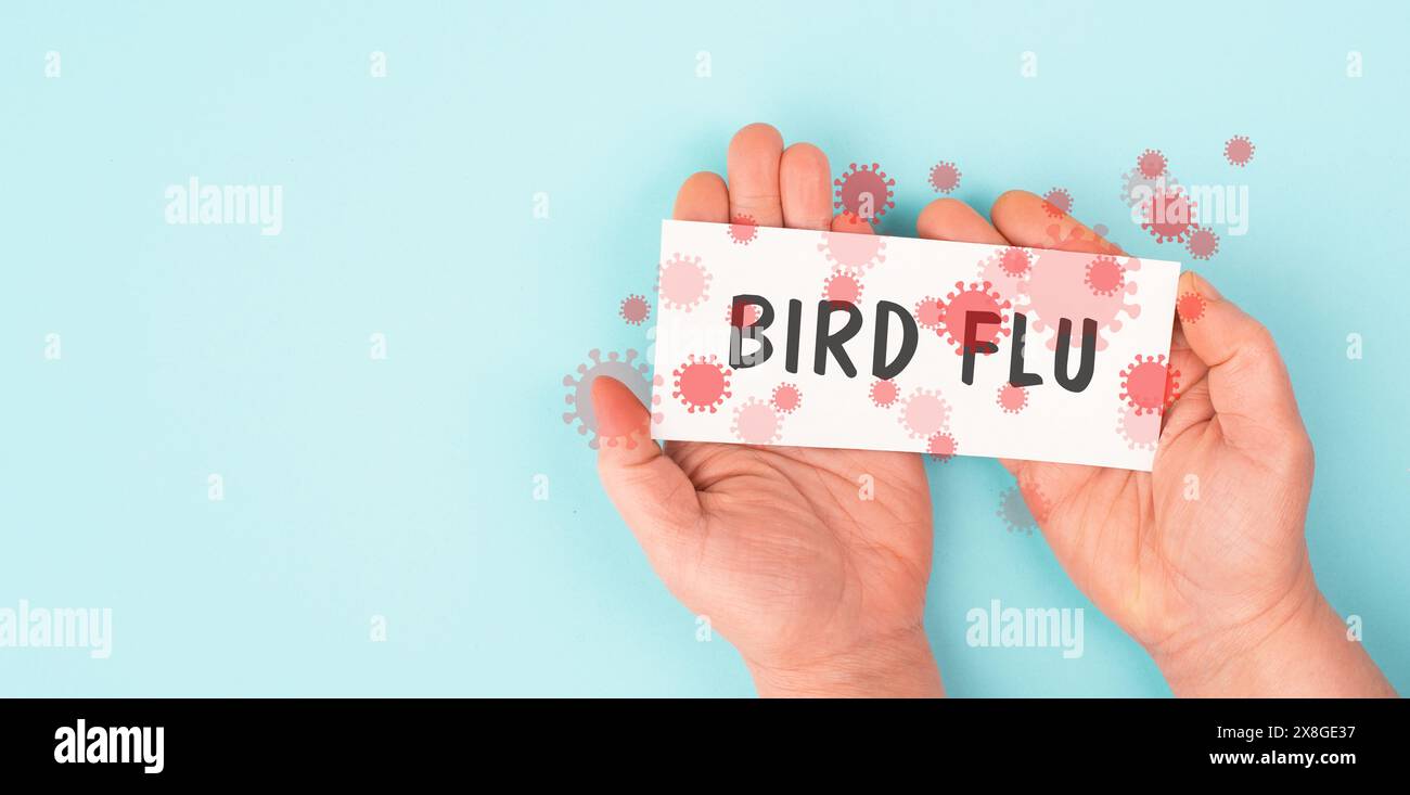 Bird flu virus outbreak, Avian influenza, infectious disease spreading ...