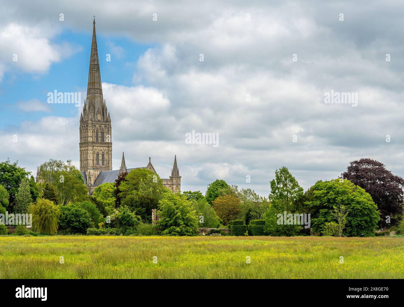 Salisbury skyline hi-res stock photography and images - Alamy
