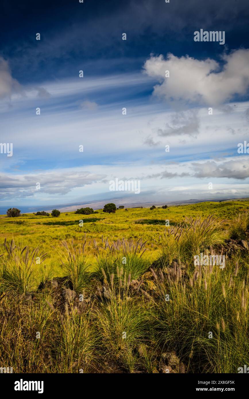 Hiking trail along prawling green pastures and barbed wire fence ...