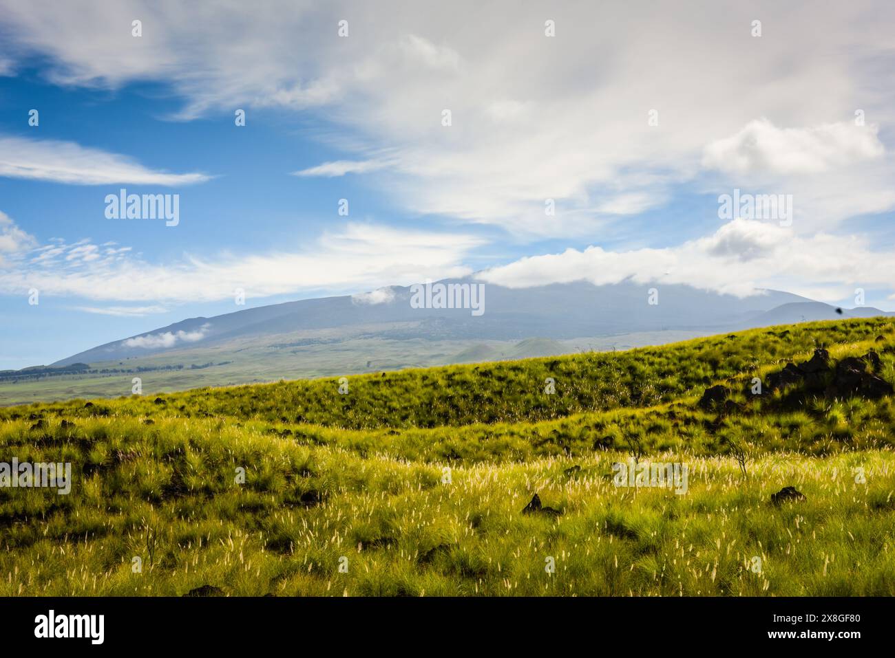 Hiking trail along prawling green pastures and barbed wire fence ...