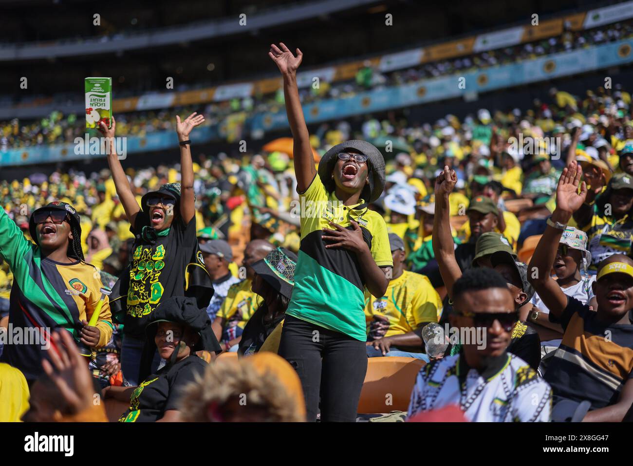 Fans and supporters chant and wave flags during the final African ...