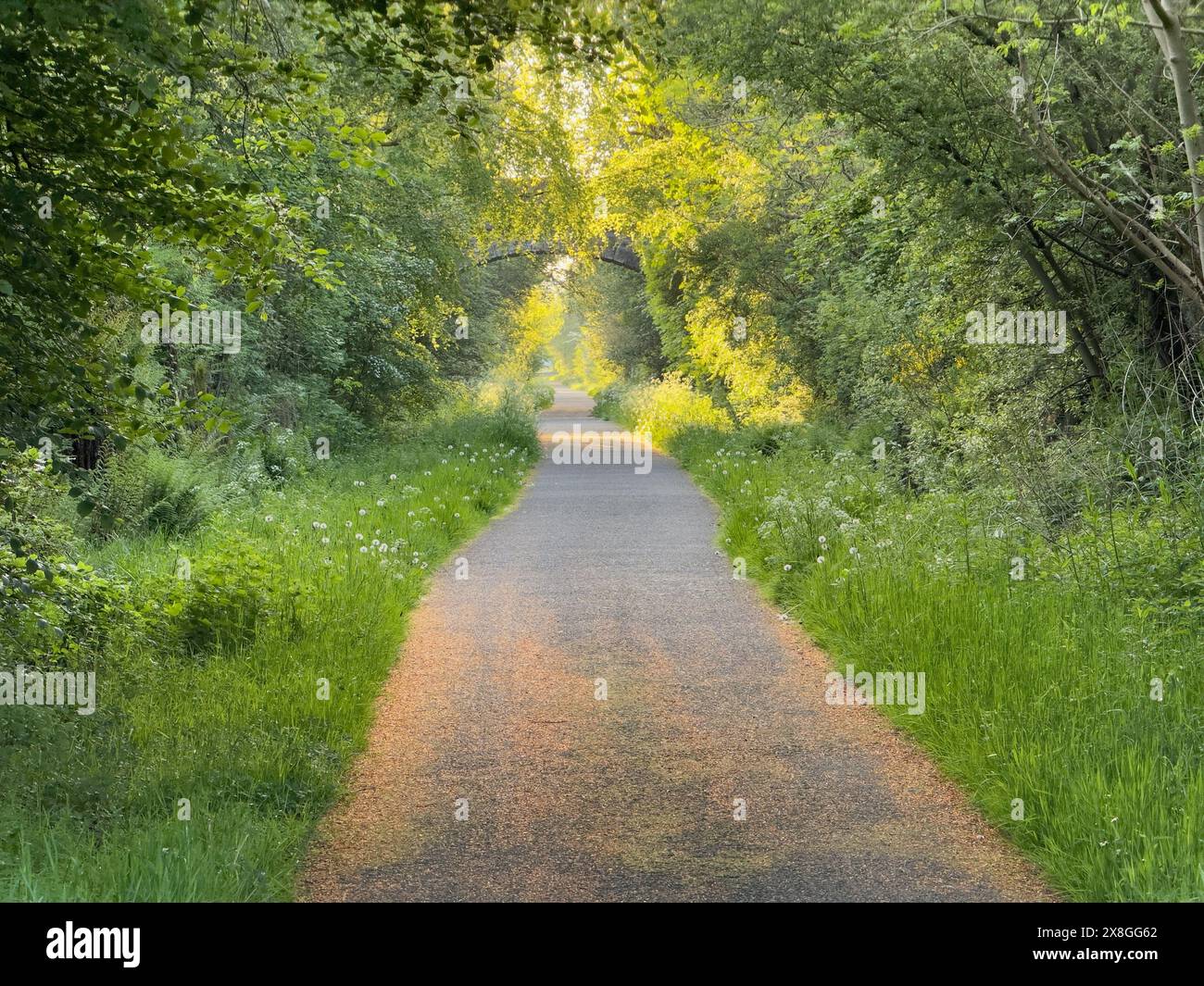 Cycle and walk path between Bridge of Weir and Kilmacolm Stock Photo ...