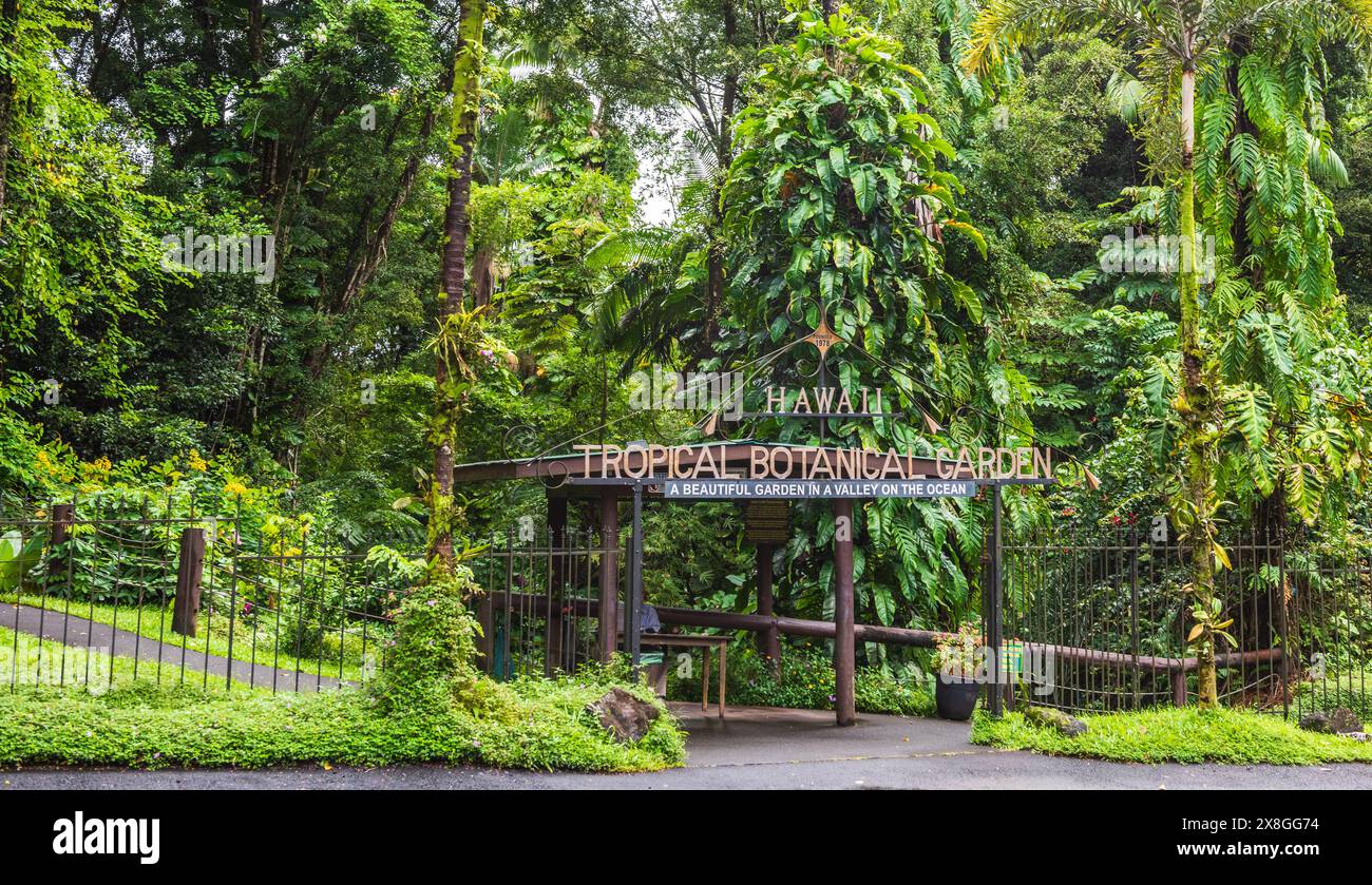 Entrance gate palm trees hi-res stock photography and images - Alamy