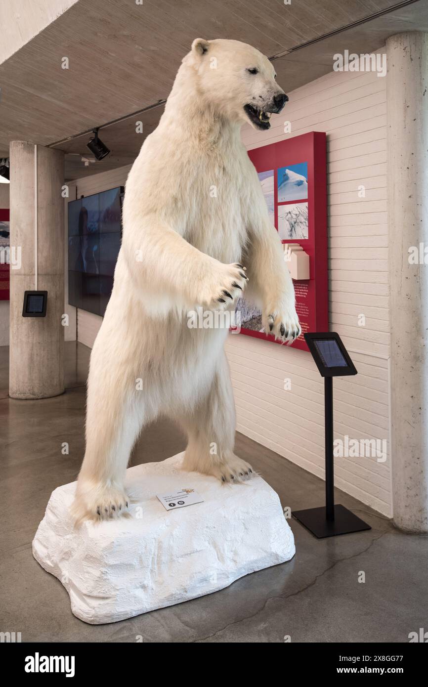 Polar Bear Propyard