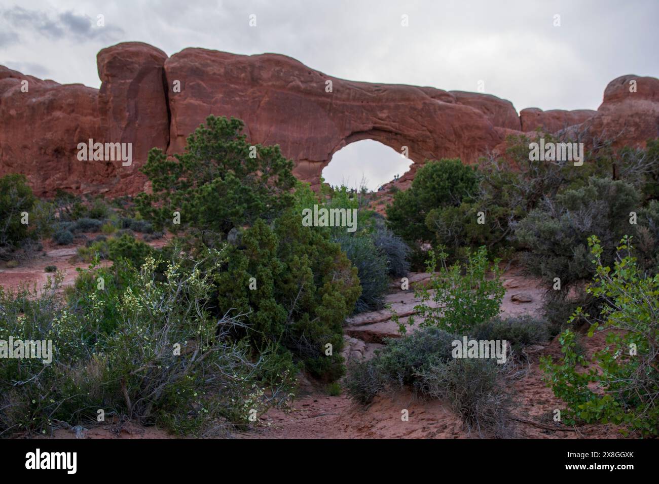 Arches National Park is one of Utah's "Mighty 5" national parks and is ...