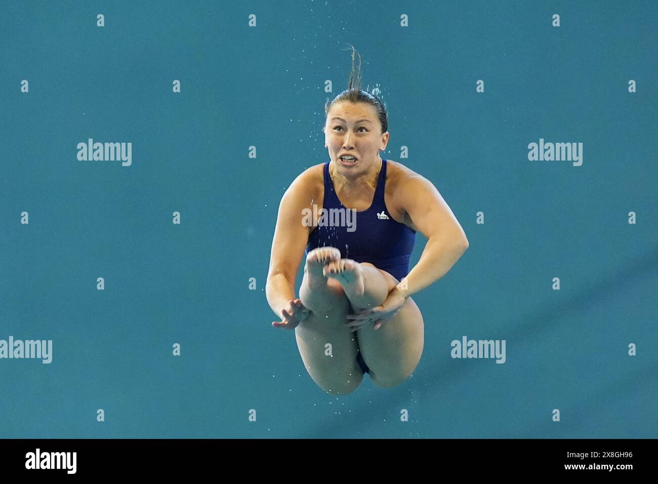 Holly may prasanto in action during the women's 3m springboard final on ...