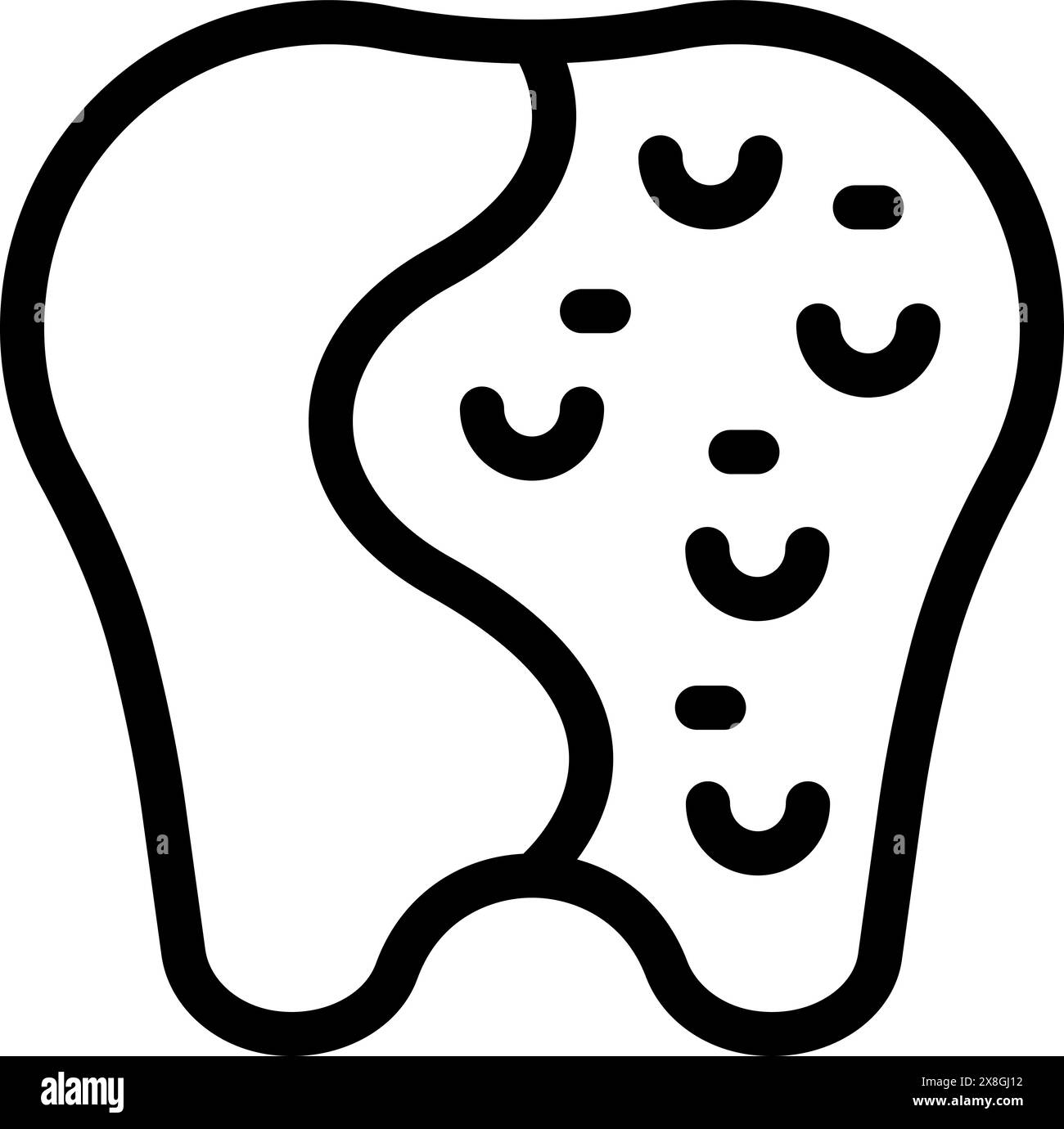 Simple line drawing of a tooth, perfect for dental illustrations and ...