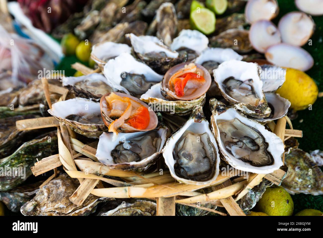 Oysters and mussels in a small seafood store in Oualidia in Morocco ...