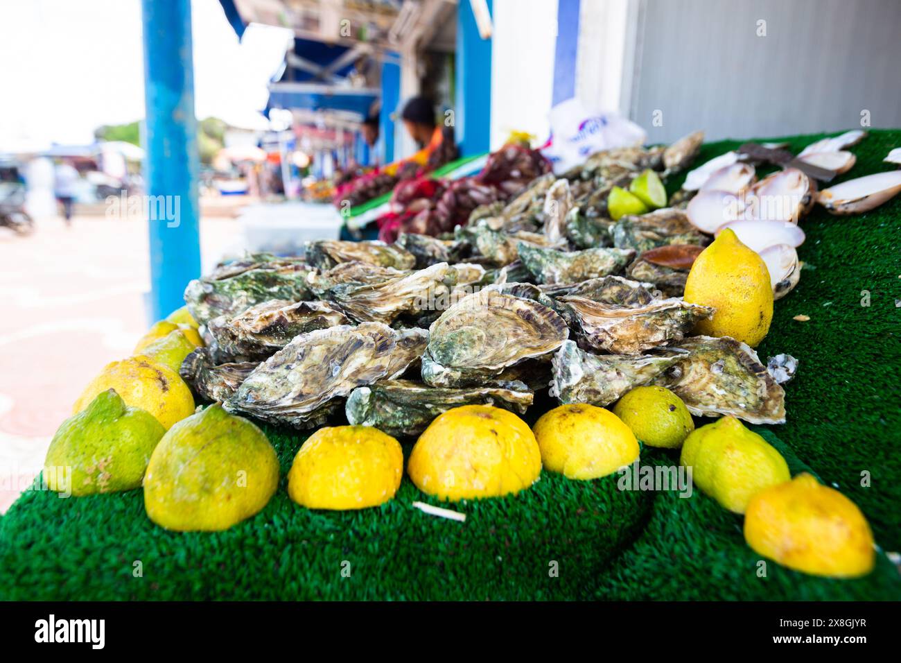 Oysters and mussels in a small seafood store in Oualidia in Morocco ...