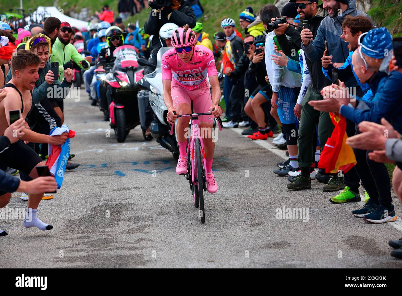 Italia. 25th May, 2024. Pogacar Tadej (Team Uae Emirates) pink jersey ...