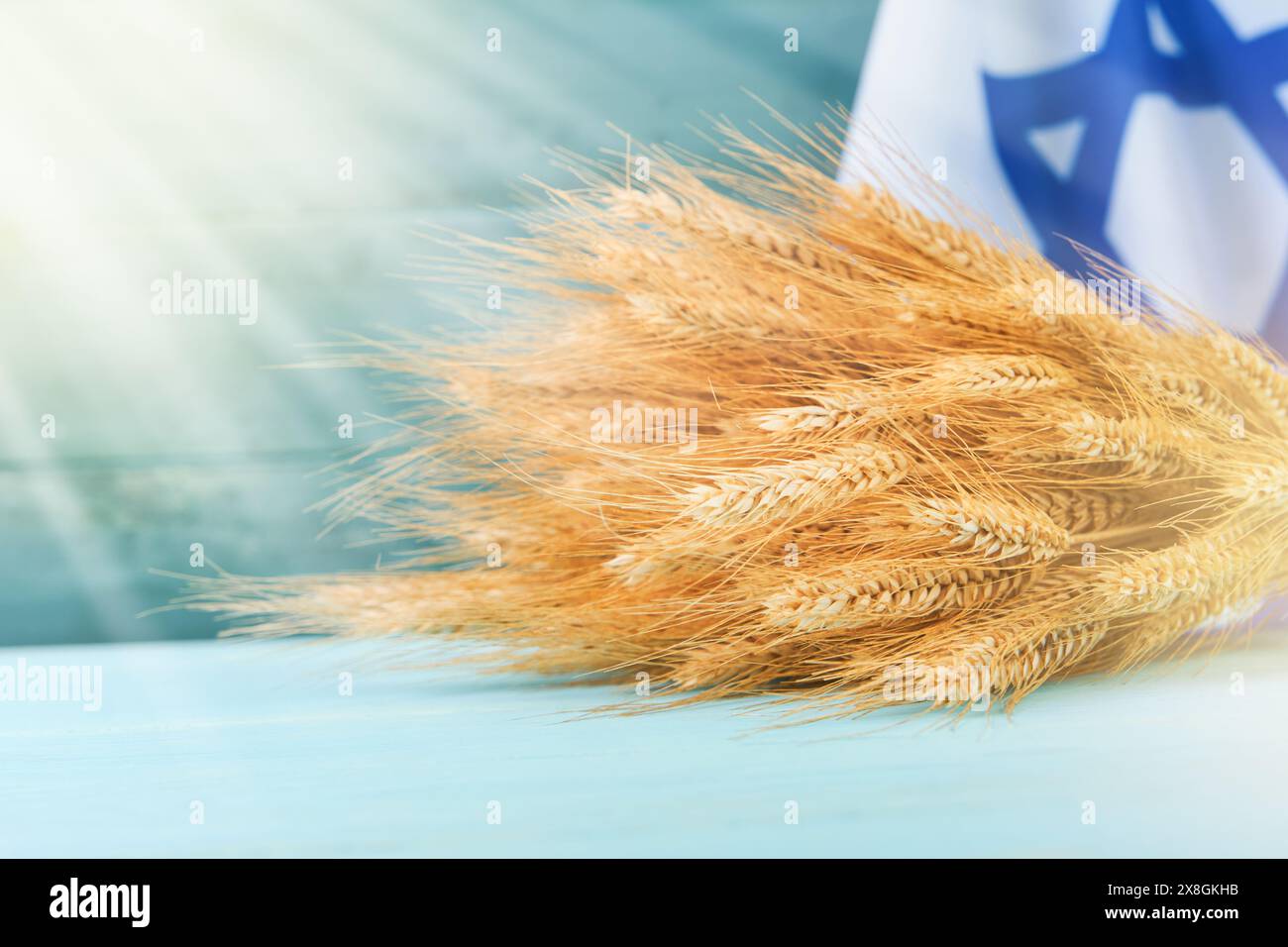 Shavuot jewish background. Ripe bouquet of wheat with blue ribbon ...