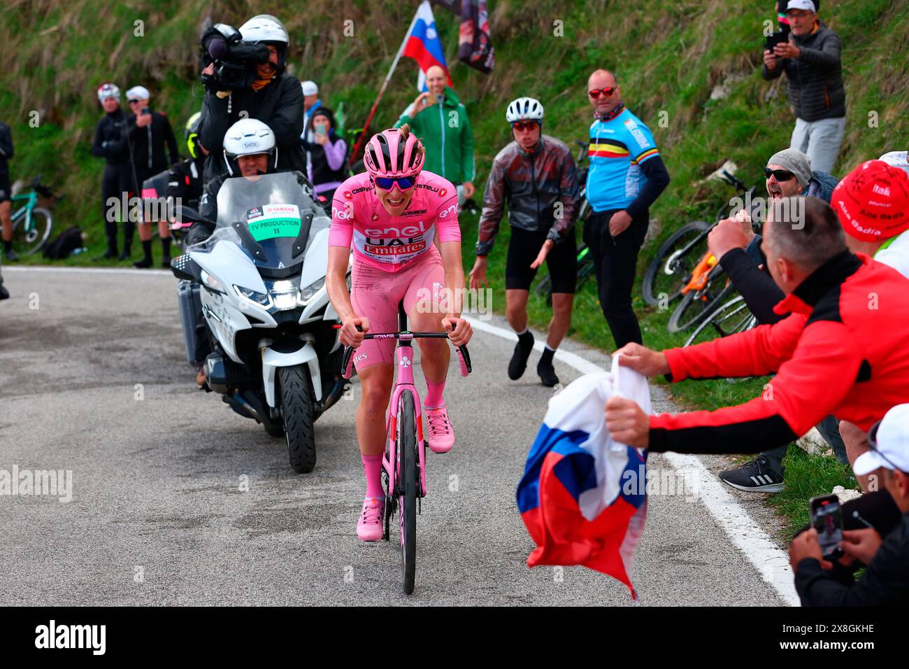 Italia. 25th May, 2024. Pogacar Tadej (Team Uae Emirates) pink jersey ...