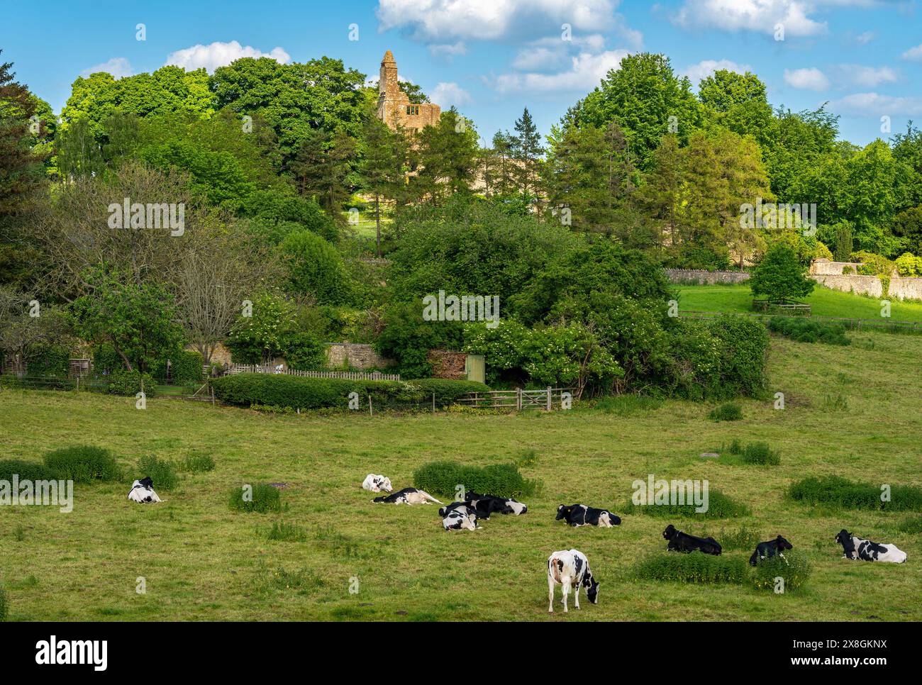 Sherborne Old Castle, remains of a medieval castle seen from the ...