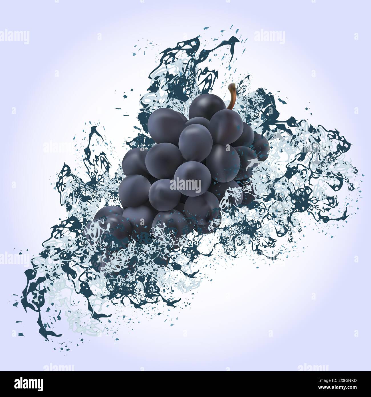 Grapes under splashes of water on a light background. Vector ...