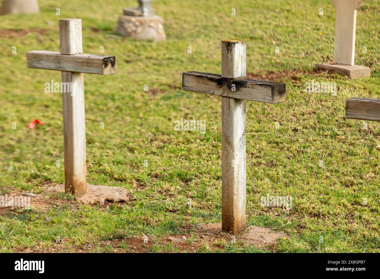 Serene Wooden Crosses in a Historic Cemetery Stock Photo - Alamy