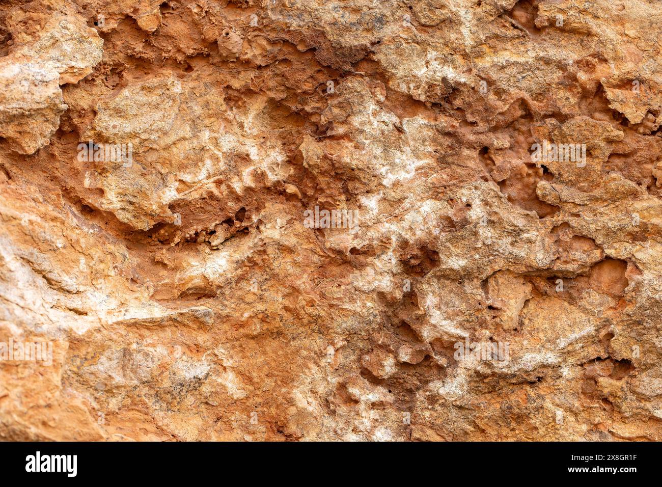 Vibrant Red Rock Surface Texture Background - Natural Geological ...