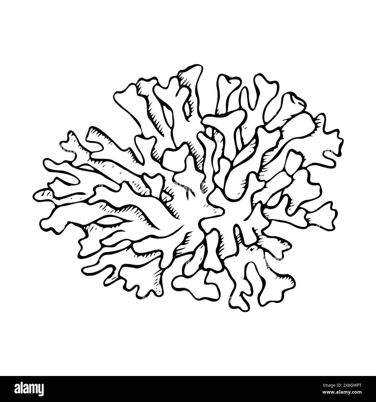 Coral line vector illustration for coloring Hand drawn monochrome ...