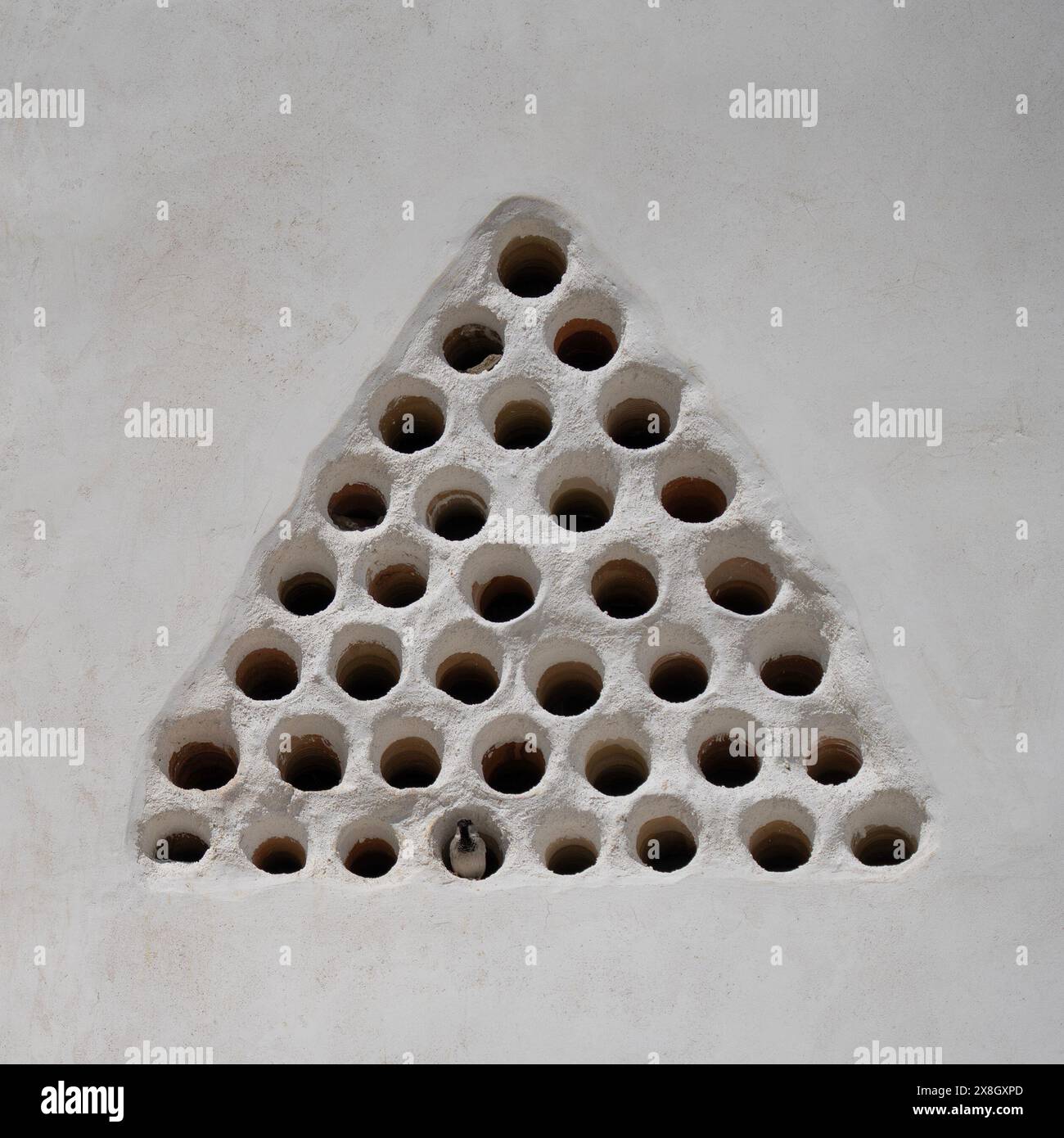 A male sparrow in a kizan ( a hollow clay pipe screen in triangular ...