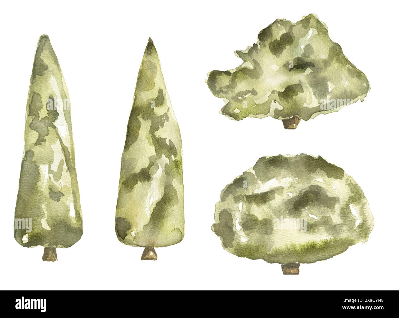 Watercolor cypress tree and bush illustration set Stock Photo - Alamy