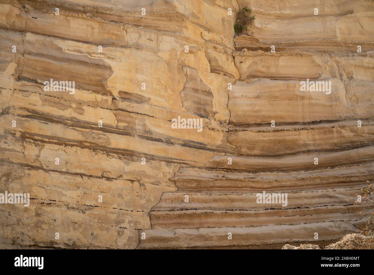 A layered limestone rock formation in Ein Avdat canyon, the Negev ...