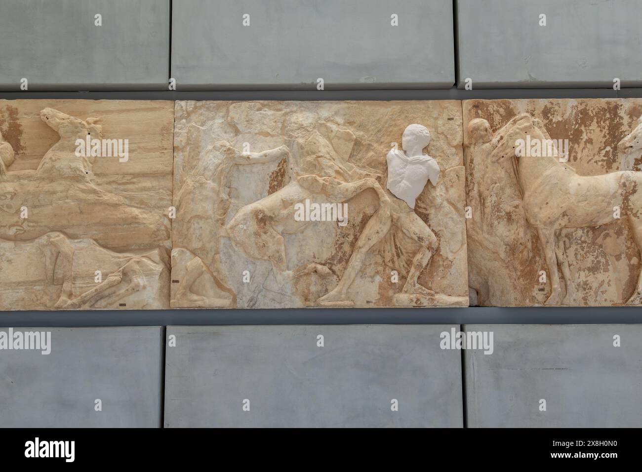 Fragment of the Parthenon frieze, The Acropolis of Athens, 5th Century BC.The Acropolis Museum ...