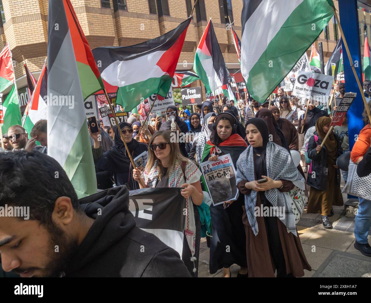 Seeds of gaza hi-res stock photography and images - Alamy