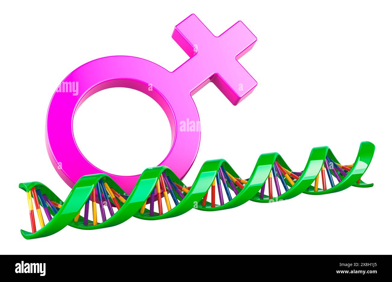 DNA spiral with female gender symbol. DNA Testing, concept. 3D ...
