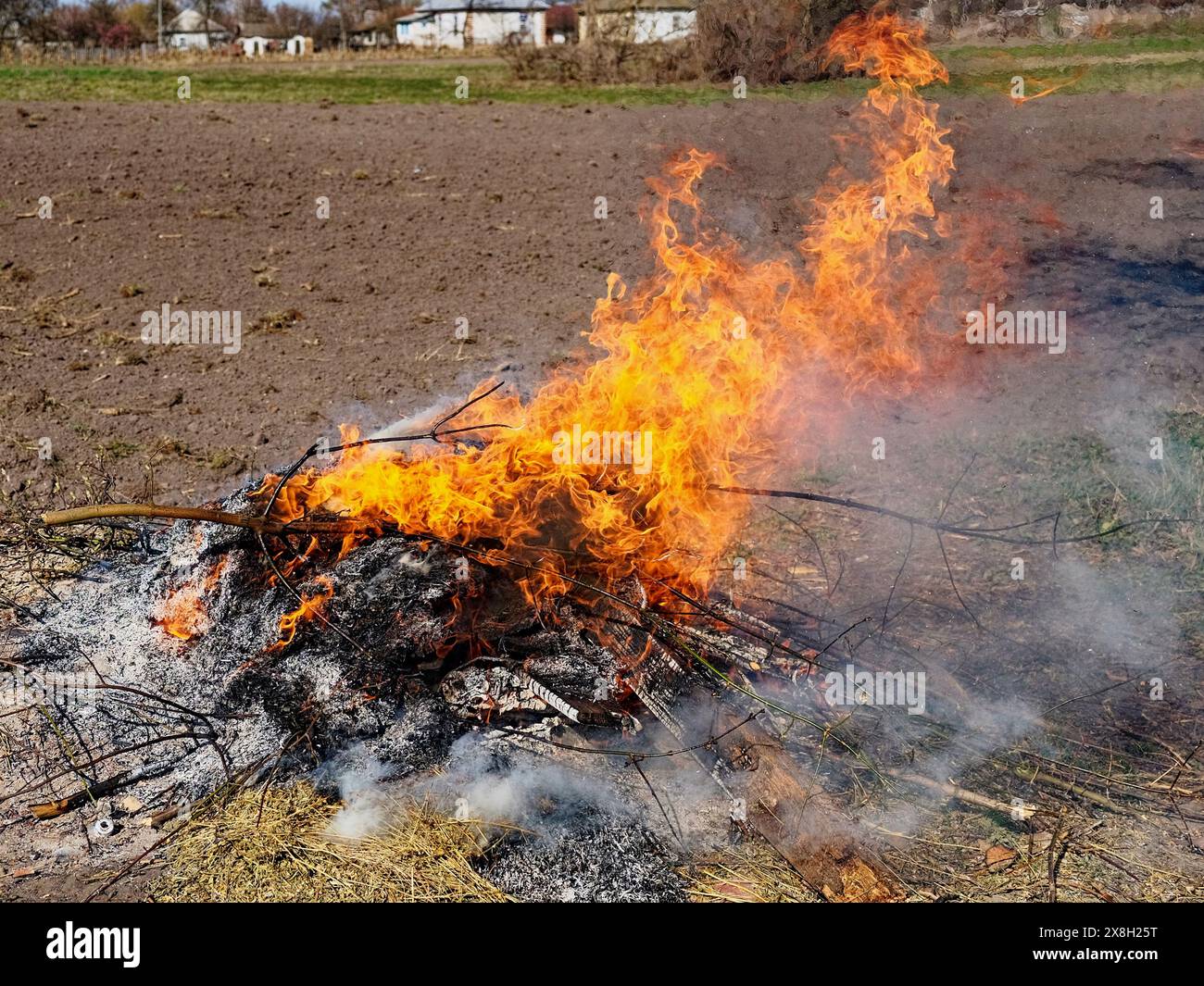 The image captures a small but intense fire burning on the ground Stock ...