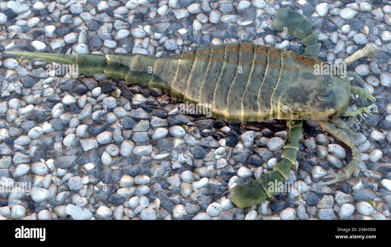 A 3D illustration of an extinct Eurypterus Remipes on a pebble beach ...