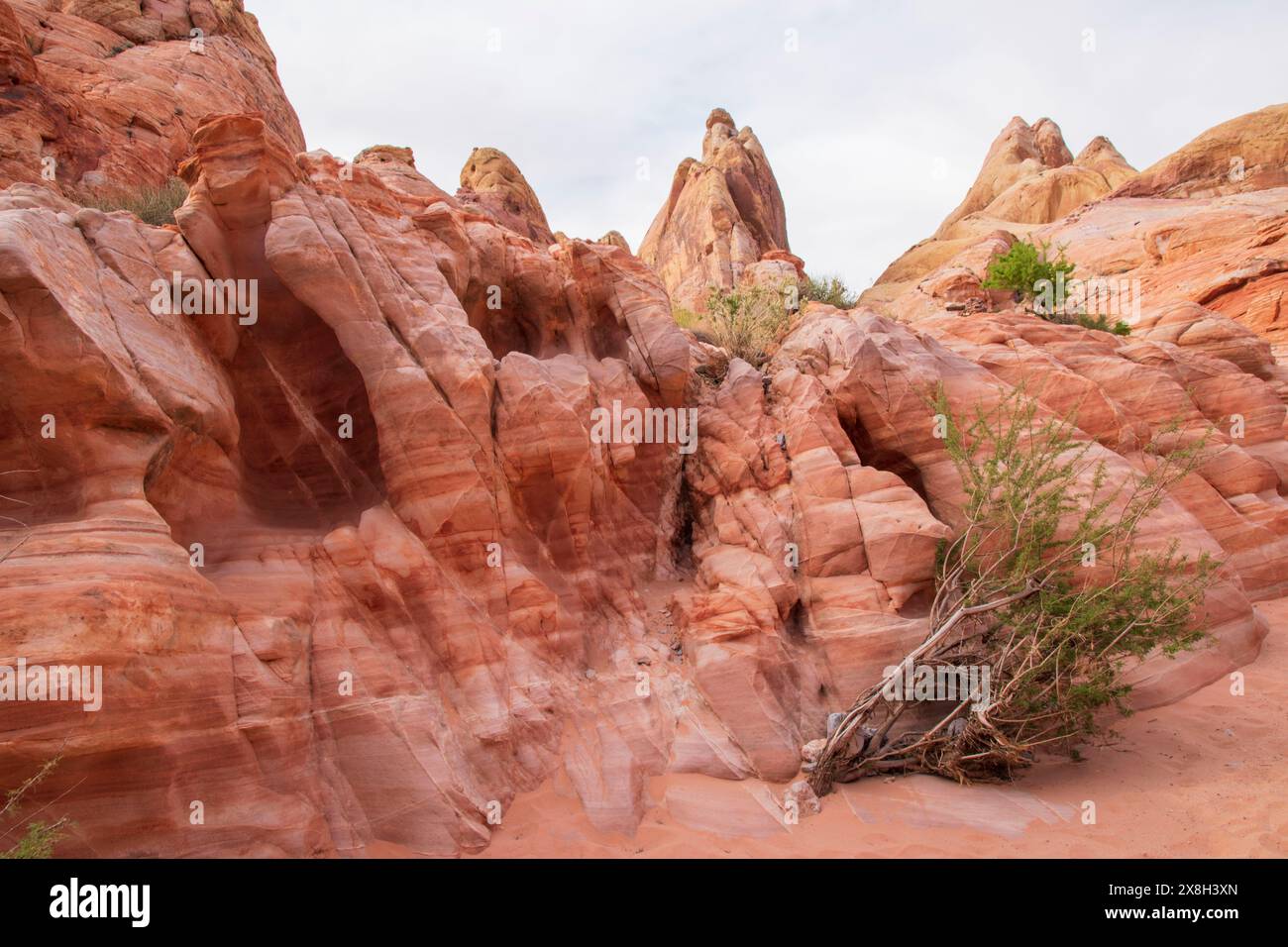 Valley of Fire State Park is full of fascinating geology such as ...