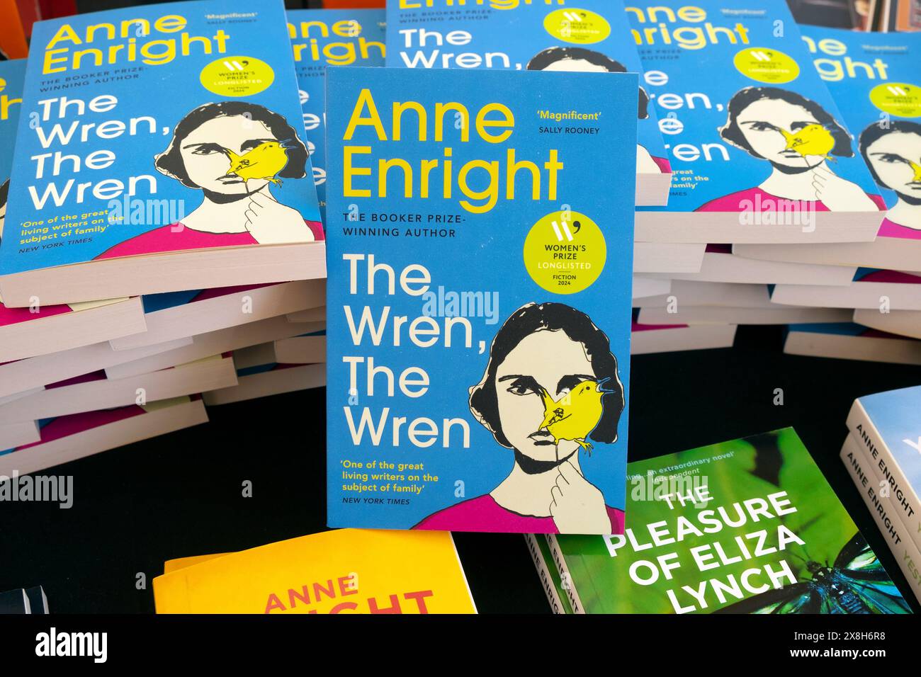 Irish author Anne Enright book cover 'The Wren The Wren' on display in ...