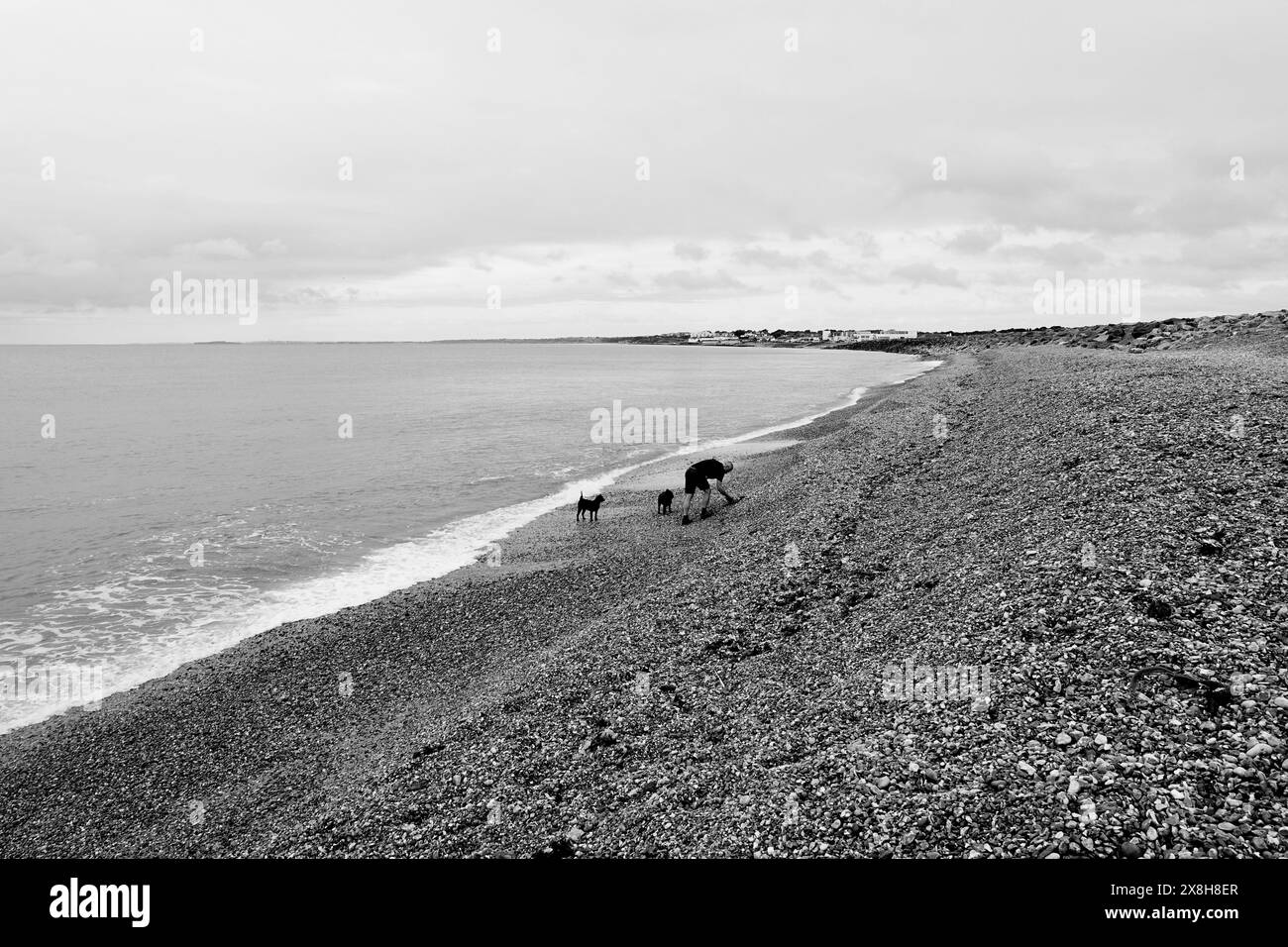 A monochrome photograph of a man and his two dogs in the distance on a ...