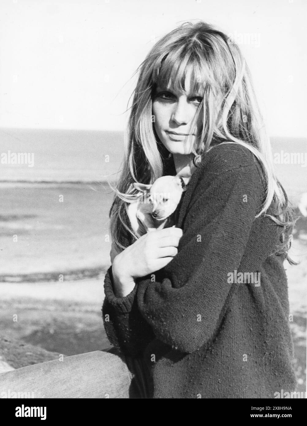 A portrait of French actress FRANCOISE DORLEAC from CUL-DE-SAC 1966 ...