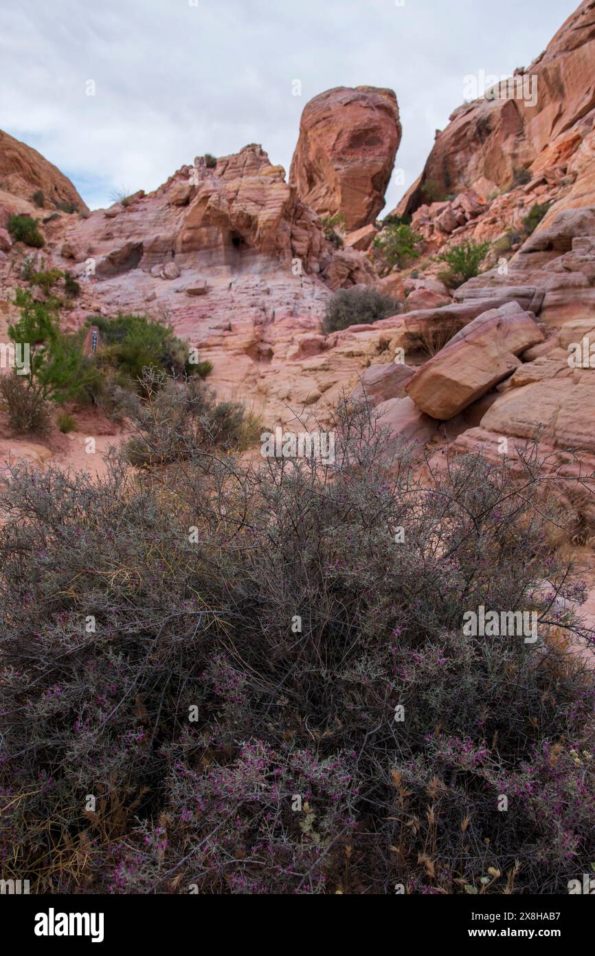 Valley of Fire State Park is full of fascinating geology such as ...