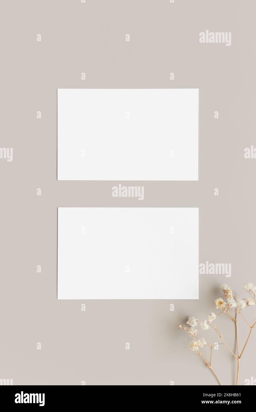Two white business cards mockup 85x55mm with gypsophila Stock Photo - Alamy