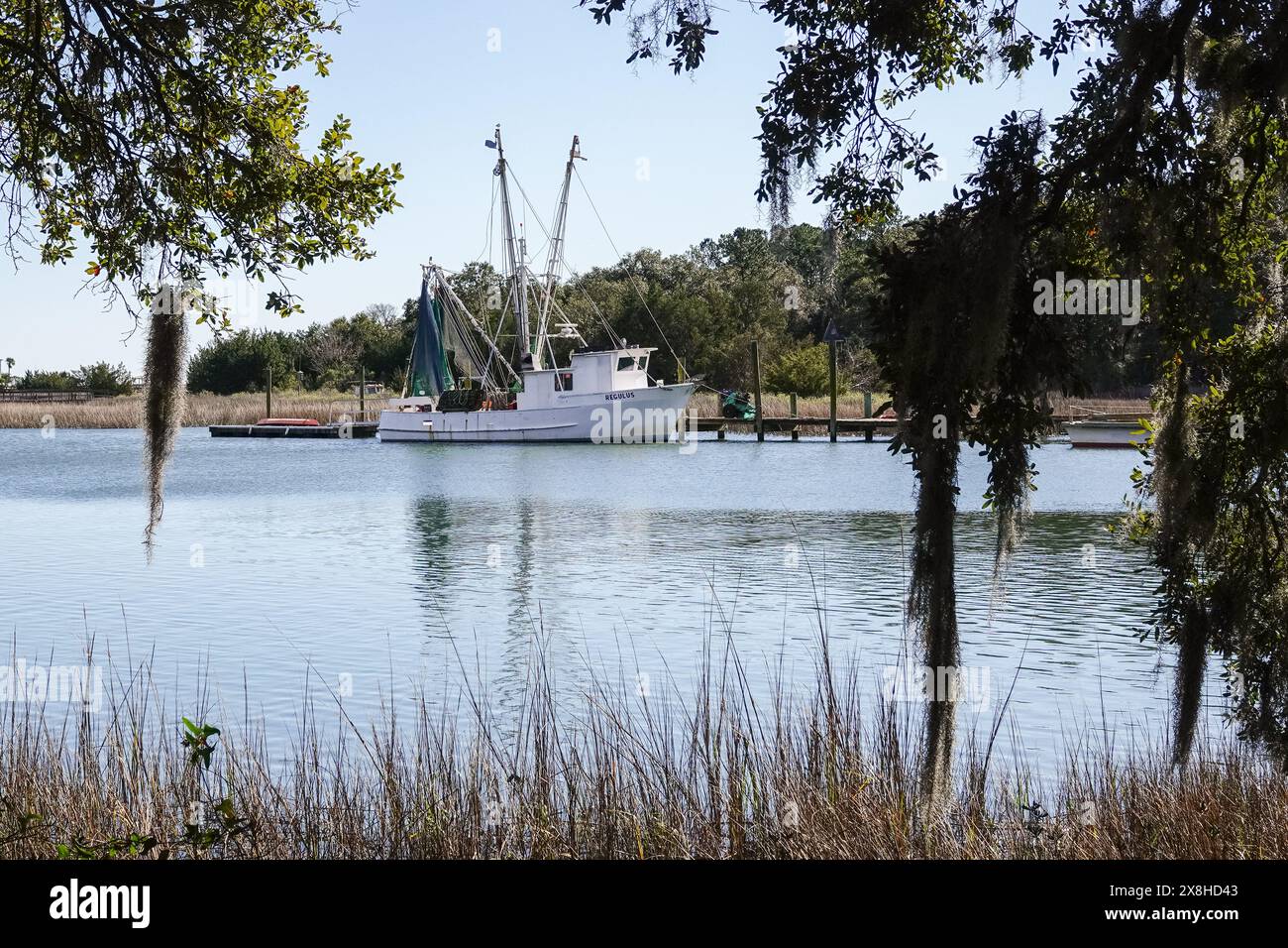 A shrimping trawler docked on Jeremy Creek and framed by Spanish moss ...