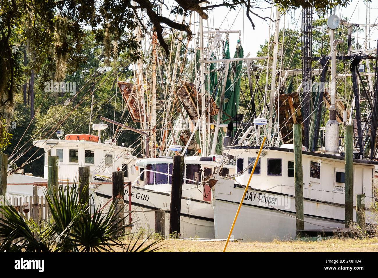 Shrimp trawlers tied up on the docks at Jeremy Creek in the tiny ...