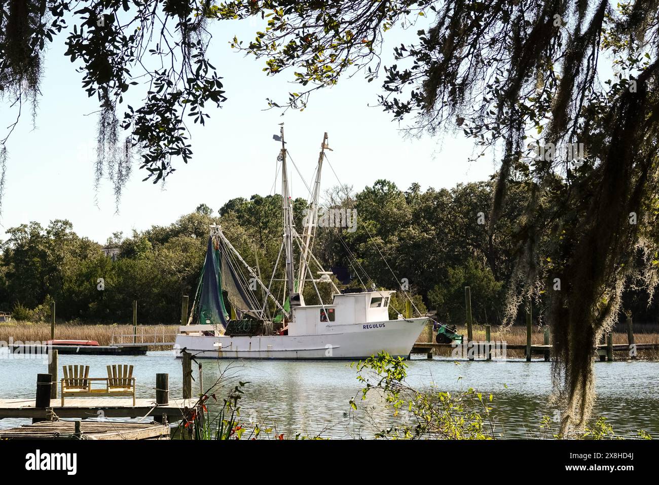 A shrimping trawler docked on Jeremy Creek and framed by Spanish moss ...
