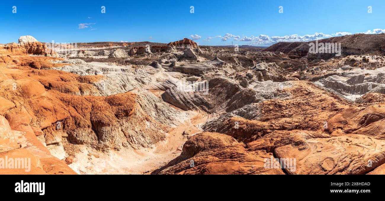 White clay-like sediment coming from nearby Gunsight Butte covers much ...