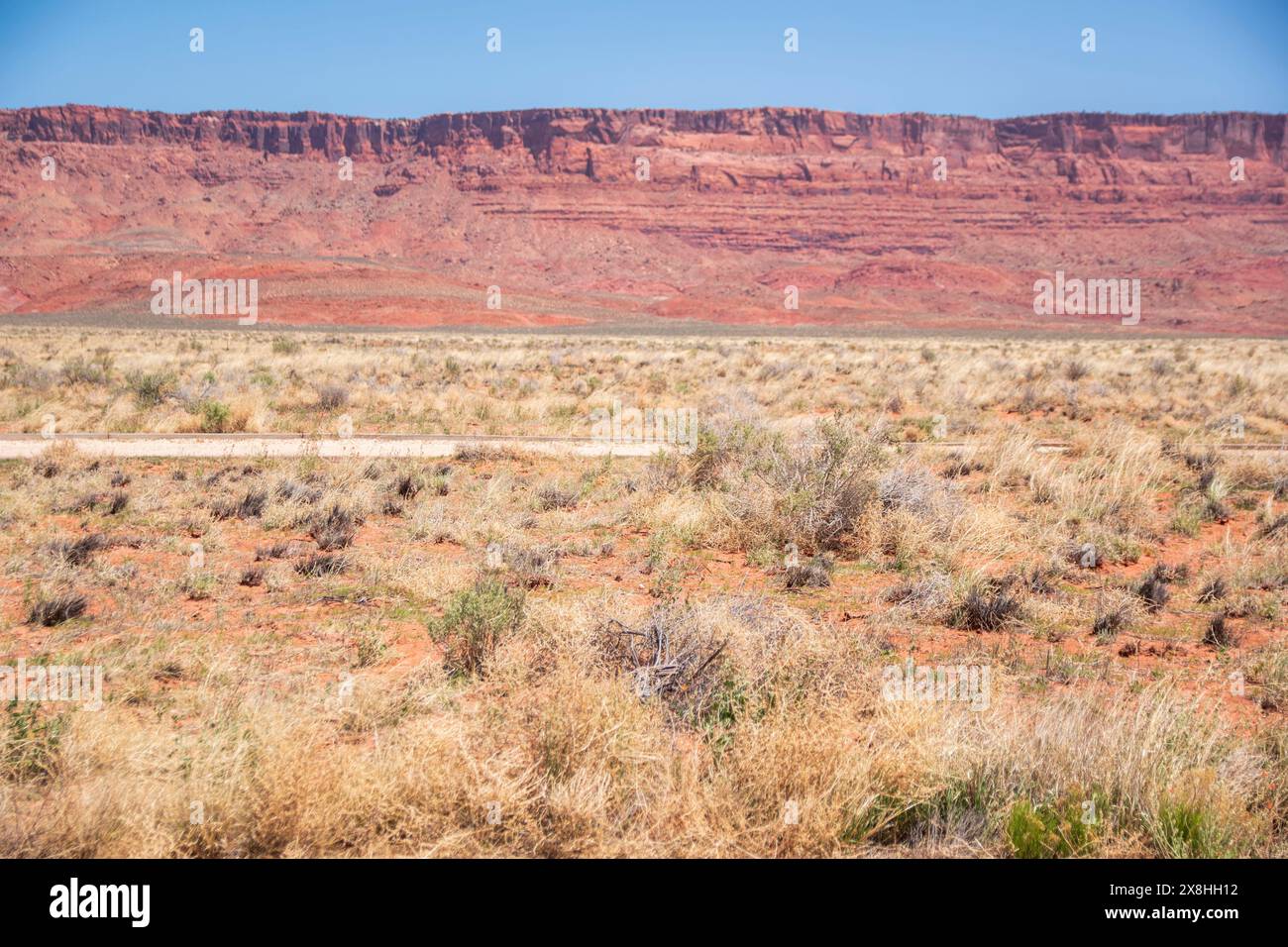 Vermillion Cliffs National Monument offers astonishing views of ...