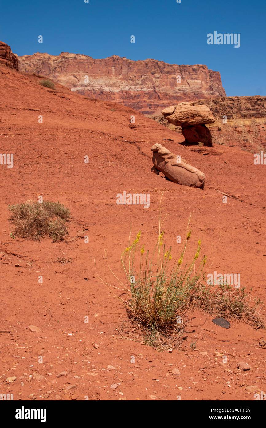 Vermillion Cliffs National Monument offers astonishing views of ...