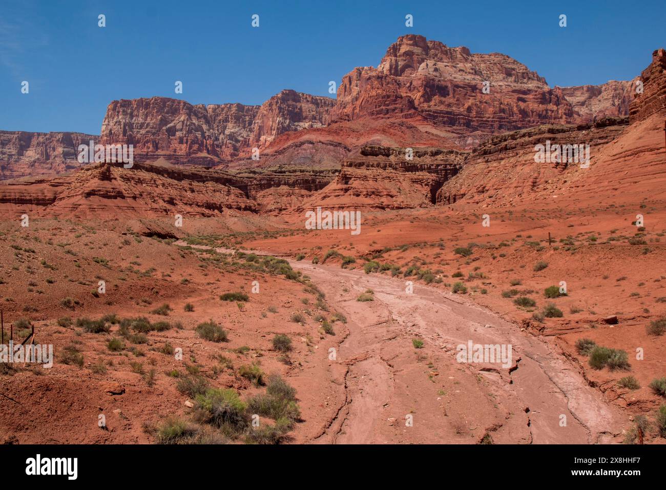 Vermillion Cliffs National Monument offers astonishing views of ...