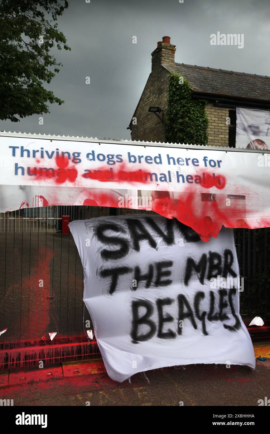 Huntingdon, England, UK. 25th May, 2024. The main gates of MBR Acres in ...